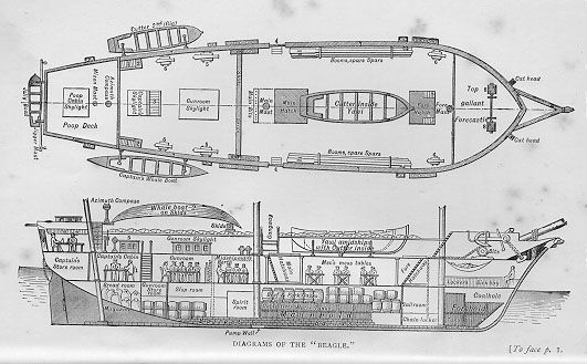Plan of HMS Beagle